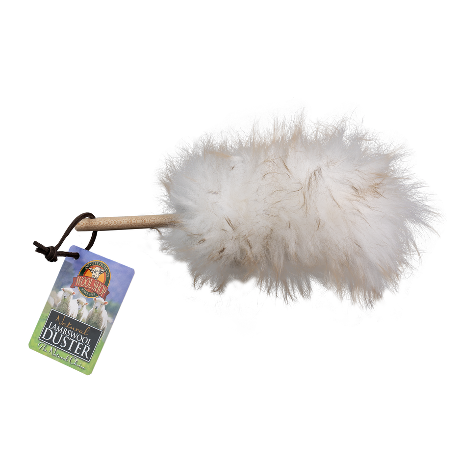 Brushes & Tools for Car Interior Detailing | Chemical Guys